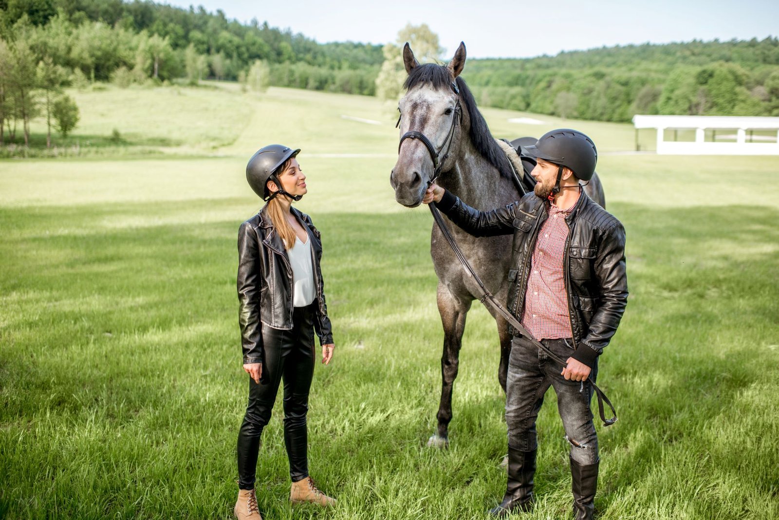 Horse Riding Basics: Techniques Every Beginner Should Know